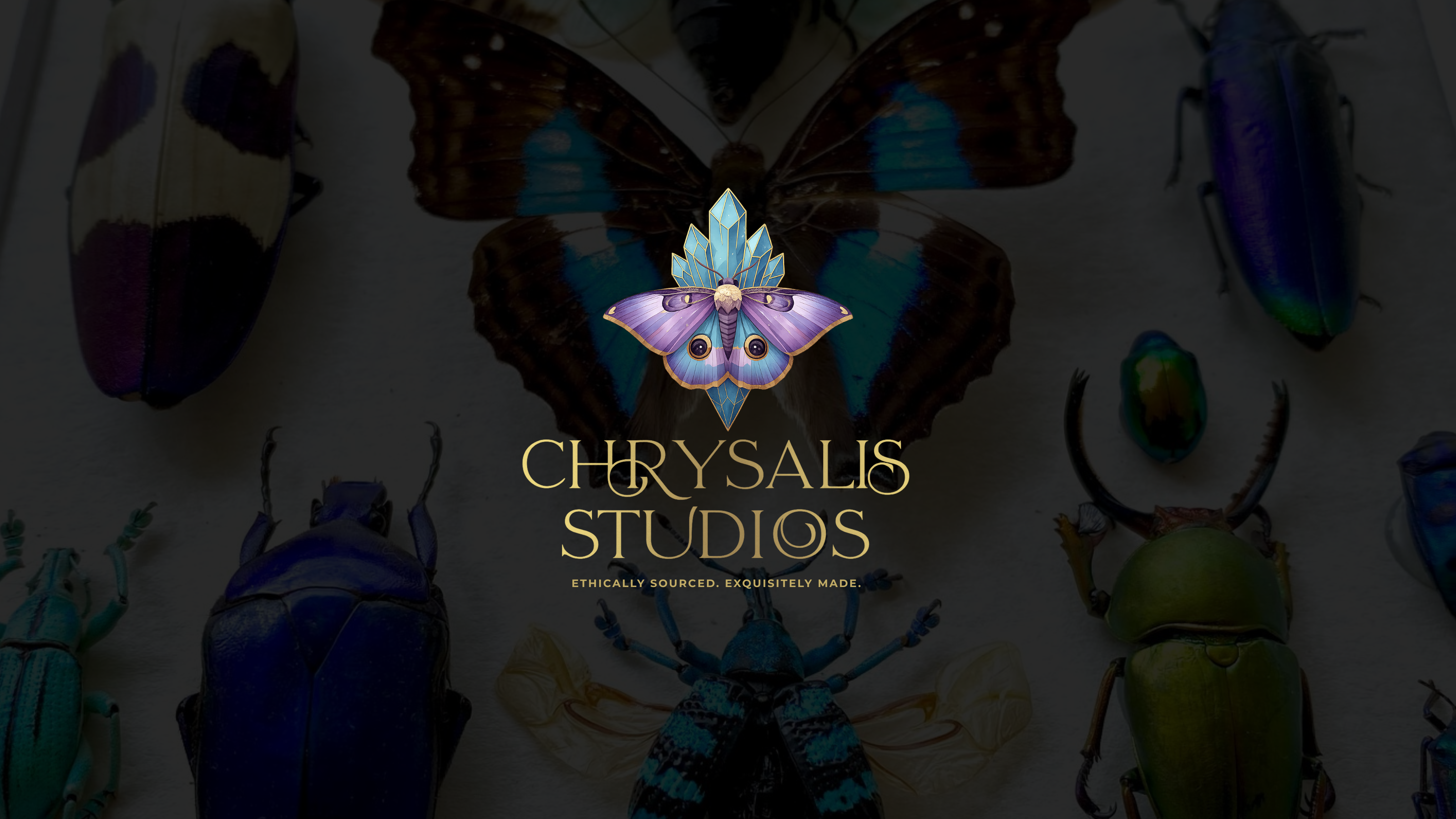 Products – Chrysalis Studios